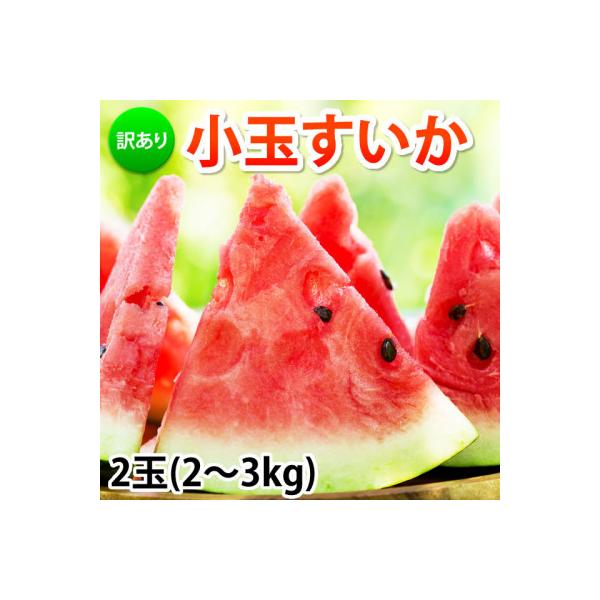 ■お礼品詳細　・配送種別：通常■お申し込み・配送・その他　・発送時期：2026-05-21〜2026-07-31（お届け時間帯指定可）　・申込受付期間：〜2026-07-17　・配達外のエリア：　・寄付証明書の送付時期目安：申込完了日から２...