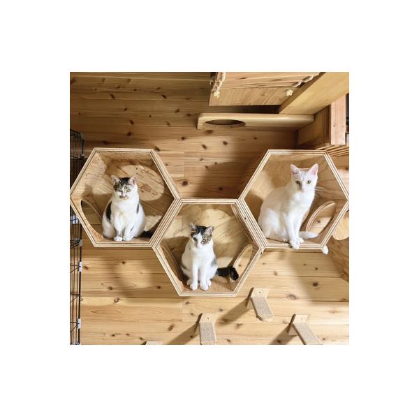 ■お礼品詳細　・配送種別：通常■お申し込み・配送・その他　・発送時期：2025/01/27から順次発送 ※2025/01/27以降のお申し込みは1週間程度で順次発送予定（お届け時間帯指定可）　・申込受付期間：通年　・配達外のエリア：　・寄付...