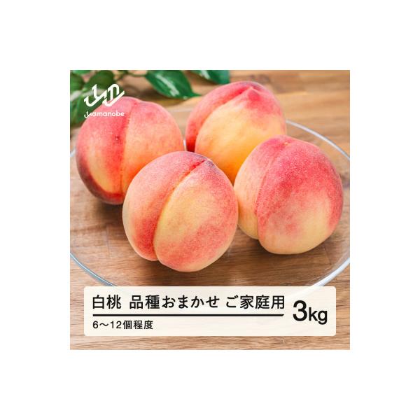 ■お礼品詳細　・配送種別：冷蔵便■お申し込み・配送・その他　・発送時期：2026-09-01〜2026-10-05（お届け時間帯指定可）　・申込受付期間：〜2026-08-31　・配達外のエリア：離島、沖縄県　・寄付証明書の送付時期目安：申...