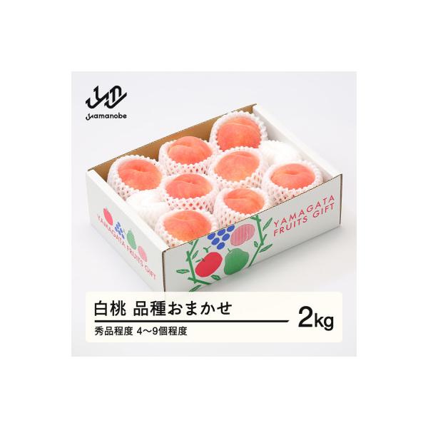 ■お礼品詳細　・配送種別：冷蔵便■お申し込み・配送・その他　・発送時期：2026-09-01〜2026-09-30（お届け時間帯指定可）　・申込受付期間：〜2026-08-31　・配達外のエリア：離島、沖縄県　・寄付証明書の送付時期目安：申...