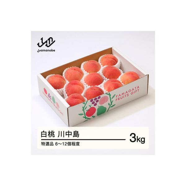 ■お礼品詳細　・配送種別：冷蔵便■お申し込み・配送・その他　・発送時期：2026-08-20〜2026-09-15（お届け時間帯指定可）　・申込受付期間：〜2026-07-31　・配達外のエリア：離島、沖縄県　・寄付証明書の送付時期目安：申...