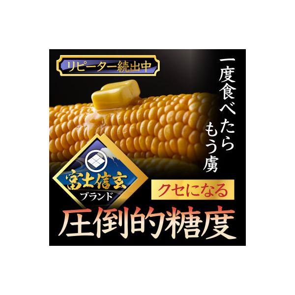 ■お礼品詳細　・配送種別：冷蔵便■お申し込み・配送・その他　・発送時期：2026-07-01〜2026-07-12（お届け時間帯指定可）　・申込受付期間：〜2026-06-30　・配達外のエリア：離島　・寄付証明書の送付時期目安：手続完了日...