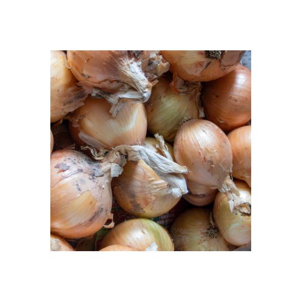 ■お礼品詳細　・配送種別：通常■お申し込み・配送・その他　・発送時期：2026-05-08〜2026-06-20　・申込受付期間：〜2026-05-10　・配達外のエリア：　・寄付証明書の送付時期目安：申込完了日から3週間程度　・提供元：五...