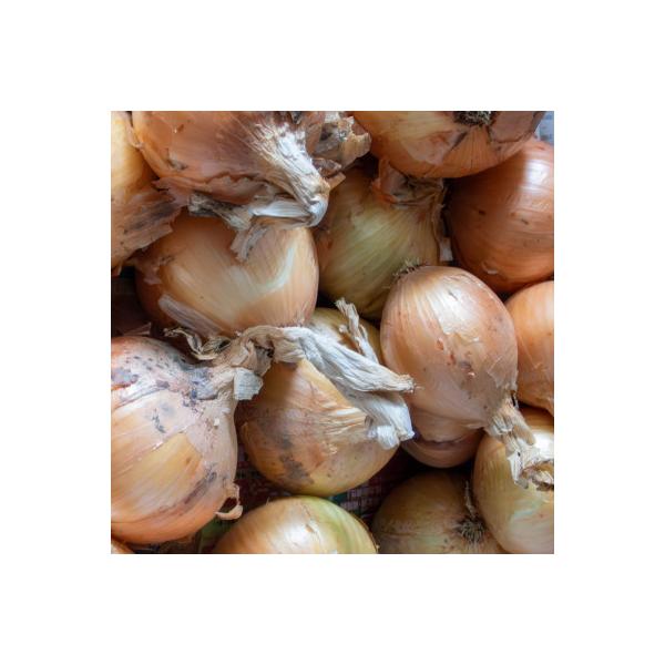 ■お礼品詳細　・配送種別：通常■お申し込み・配送・その他　・発送時期：2026-05-08〜2026-06-20　・申込受付期間：〜2026-05-10　・配達外のエリア：　・寄付証明書の送付時期目安：申込完了日から3週間程度　・提供元：五...