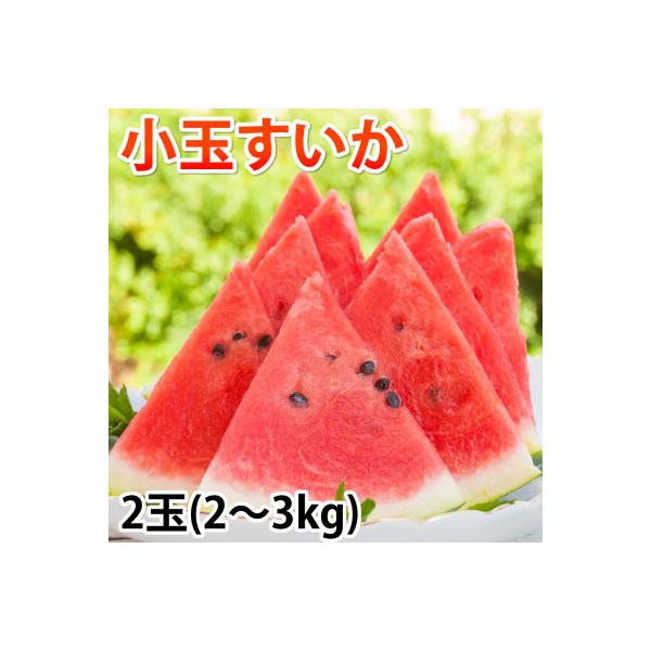 ■お礼品詳細　・配送種別：通常■お申し込み・配送・その他　・発送時期：2026-05-21〜2026-07-31（お届け時間帯指定可）　・申込受付期間：〜2026-07-17　・配達外のエリア：　・寄付証明書の送付時期目安：申込完了日から2...