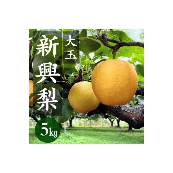 ■お礼品詳細　・配送種別：通常■お申し込み・配送・その他　・発送時期：2026-10-01〜2026-10-31（お届け時間帯指定可）　・申込受付期間：〜2026-10-15　・配達外のエリア：　・寄付証明書の送付時期目安：申込完了日から２...