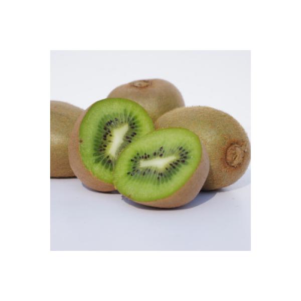 ■お礼品詳細　・配送種別：通常■お申し込み・配送・その他　・発送時期：2026-01-12〜2026-04-06（お届け時間帯指定可）　・申込受付期間：〜2026-03-31　・配達外のエリア：離島、北海道、沖縄県　・寄付証明書の送付時期目...