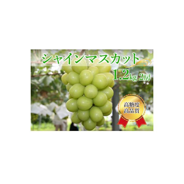 ■お礼品詳細　・配送種別：冷蔵便■お申し込み・配送・その他　・発送時期：2026/08/25〜2026/09/30（お届け時間帯指定可）　・申込受付期間：〜2026-09-15　・配達外のエリア：離島　・寄付証明書の送付時期目安：申込完了日...