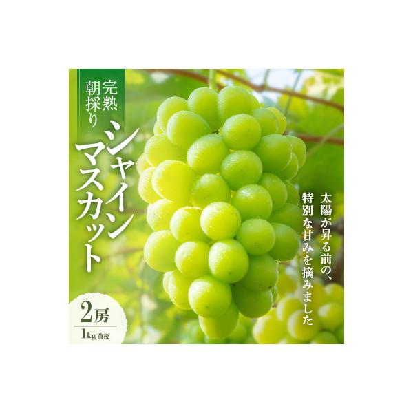 ■お礼品詳細　・配送種別：冷蔵便■お申し込み・配送・その他　・発送時期：2026-09-04〜2026-10-30（お届け時間帯指定可）　・申込受付期間：〜2026-10-10　・配達外のエリア：離島　・寄付証明書の送付時期目安：申込完了日...