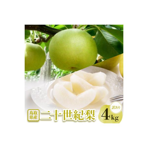 ■お礼品詳細　・配送種別：通常■お申し込み・配送・その他　・発送時期：2026-08-25〜2026-09-30（お届け時間帯指定可）　・申込受付期間：〜2026-08-31　・配達外のエリア：離島、北海道、沖縄県　・寄付証明書の送付時期目...