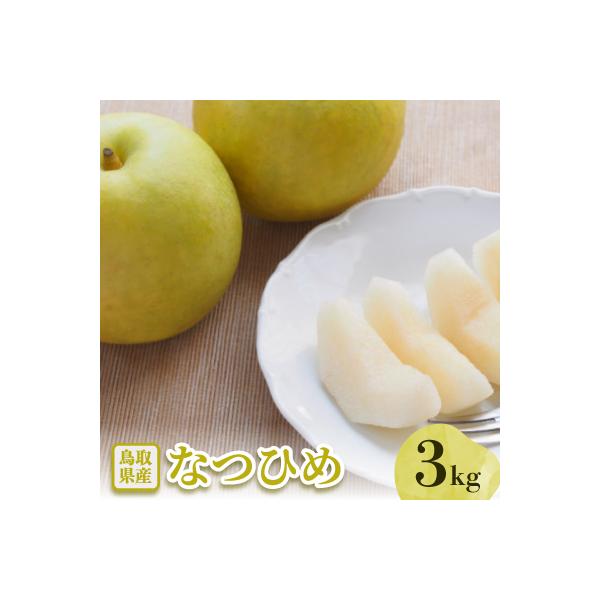 ■お礼品詳細　・配送種別：通常■お申し込み・配送・その他　・発送時期：2026-08-16〜2026-08-31（お届け時間帯指定可）　・申込受付期間：〜2026-08-20　・配達外のエリア：離島、北海道、沖縄県　・寄付証明書の送付時期目...