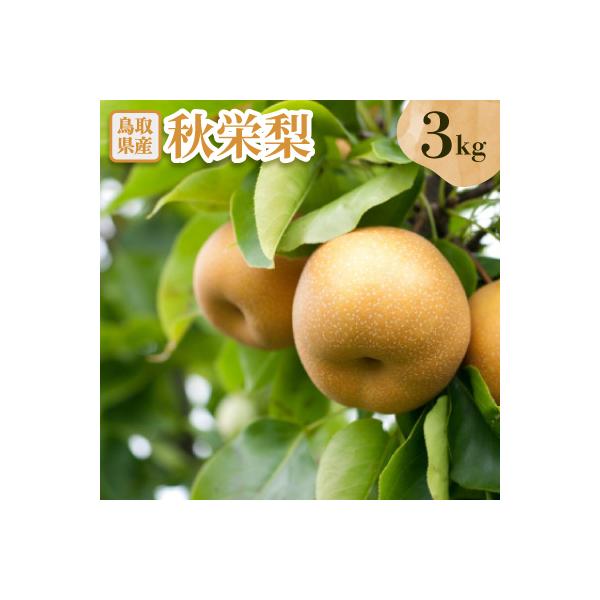 ■お礼品詳細　・配送種別：通常■お申し込み・配送・その他　・発送時期：2026-08-16〜2026-08-31（お届け時間帯指定可）　・申込受付期間：〜2026-08-20　・配達外のエリア：離島、北海道、沖縄県　・寄付証明書の送付時期目...