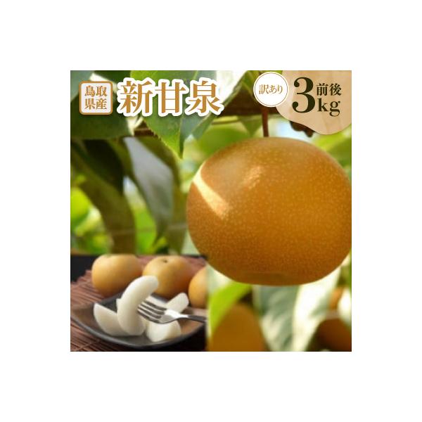 ■お礼品詳細　・配送種別：通常■お申し込み・配送・その他　・発送時期：2026-08-22〜2026-09-20（お届け時間帯指定可）　・申込受付期間：〜2026-08-15　・配達外のエリア：離島、北海道、沖縄県　・寄付証明書の送付時期目...