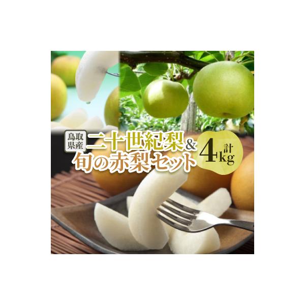 ■お礼品詳細　・配送種別：通常■お申し込み・配送・その他　・発送時期：2026-08-25〜2026-09-30（お届け時間帯指定可）　・申込受付期間：〜2026-09-20　・配達外のエリア：離島、北海道、沖縄県　・寄付証明書の送付時期目...