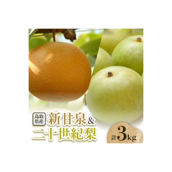 ■お礼品詳細　・配送種別：通常■お申し込み・配送・その他　・発送時期：2026-08-25〜2026-09-20（お届け時間帯指定可）　・申込受付期間：〜2026-08-31　・配達外のエリア：離島、北海道、沖縄県　・寄付証明書の送付時期目...