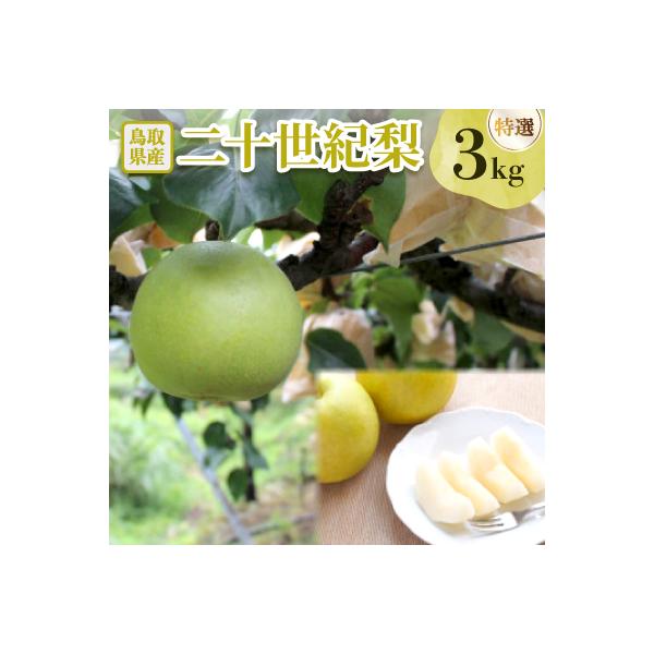 ■お礼品詳細　・配送種別：通常■お申し込み・配送・その他　・発送時期：2026-08-22〜2026-09-20（お届け時間帯指定可）　・申込受付期間：〜2026-08-15　・配達外のエリア：離島、北海道、沖縄県　・寄付証明書の送付時期目...