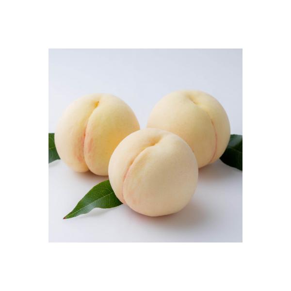 ■お礼品詳細　・配送種別：冷蔵便■お申し込み・配送・その他　・発送時期：2026-07-01〜2026-07-31（お届け時間帯指定可）　・申込受付期間：〜2026-07-15　・配達外のエリア：離島　・寄付証明書の送付時期目安：申込完了日...