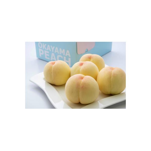 ■お礼品詳細　・配送種別：冷蔵便■お申し込み・配送・その他　・発送時期：2026-06-30〜2026-09-05（お届け時間帯指定可）　・申込受付期間：〜2026-06-25　・配達外のエリア：離島　・寄付証明書の送付時期目安：申込完了日...