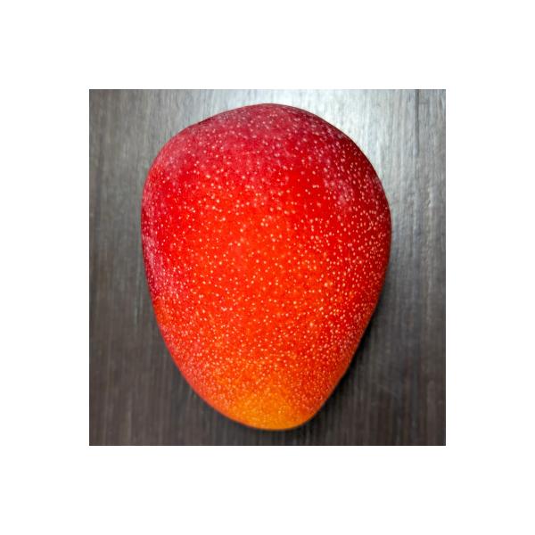 ■お礼品詳細　・配送種別：冷蔵便■お申し込み・配送・その他　・発送時期：2026-07-10〜2026-08-31（お届け時間帯指定可）　・申込受付期間：〜2026-07-20　・配達外のエリア：離島　・寄付証明書の送付時期目安：申込完了日...