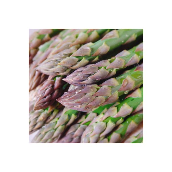 ■お礼品詳細　・配送種別：冷蔵便■お申し込み・配送・その他　・発送時期：2026-05-10〜2026-06-26（お届け時間帯指定可）　・申込受付期間：〜2026-06-11　・配達外のエリア：離島　・寄付証明書の送付時期目安：申込完了日...