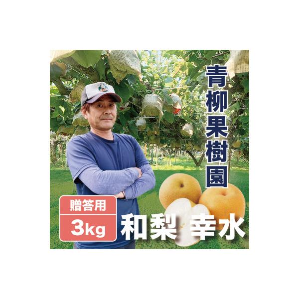 ■お礼品詳細　・配送種別：通常■お申し込み・配送・その他　・発送時期：2026-08-17〜2026-08-31（お届け時間帯指定可）　・申込受付期間：2026-01-05〜2026-05-28　・配達外のエリア：　・寄付証明書の送付時期目...