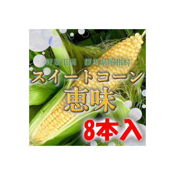 ■お礼品詳細　・配送種別：冷蔵便■お申し込み・配送・その他　・発送時期：2026-07-10〜2026-08-31（お届け時間帯指定可）　・申込受付期間：〜2026-07-31　・配達外のエリア：離島、沖縄県　・寄付証明書の送付時期目安：申...