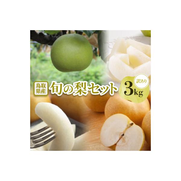 ■お礼品詳細　・配送種別：通常■お申し込み・配送・その他　・発送時期：2026-08-20〜2026-12-27（お届け時間帯指定可）　・申込受付期間：〜2026-12-10　・配達外のエリア：離島、北海道、沖縄県　・寄付証明書の送付時期目...