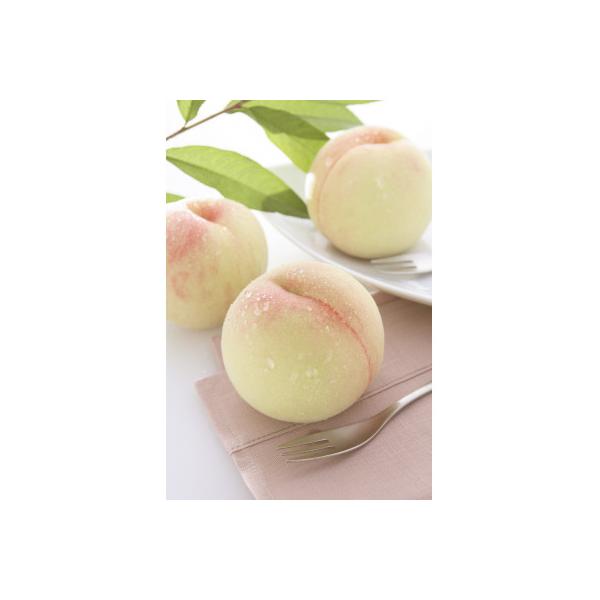 ■お礼品詳細　・配送種別：冷蔵便■お申し込み・配送・その他　・発送時期：2026-06-25〜2026-07-31（お届け時間帯指定可）　・申込受付期間：〜2026-07-15　・配達外のエリア：離島　・寄付証明書の送付時期目安：申込完了日...