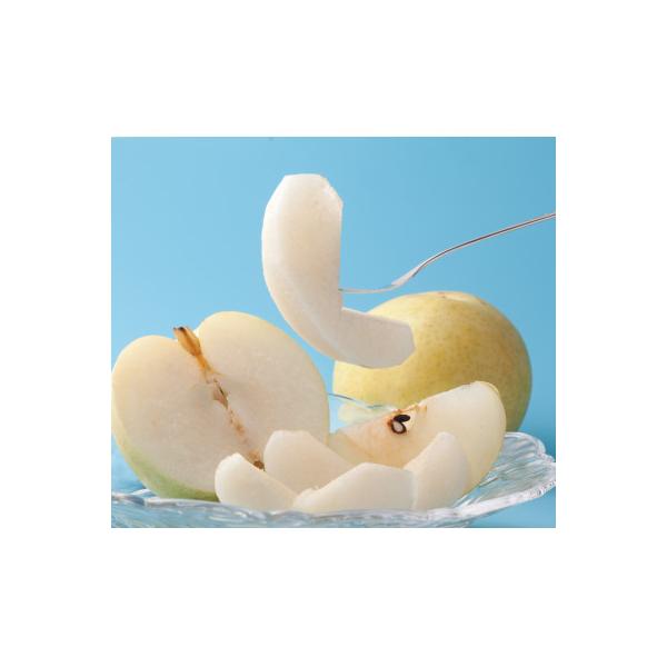 ■お礼品詳細　・配送種別：通常■お申し込み・配送・その他　・発送時期：2026-08-25〜2026-09-30（お届け時間帯指定可）　・申込受付期間：〜2026-08-31　・配達外のエリア：離島、北海道、沖縄県　・寄付証明書の送付時期目...