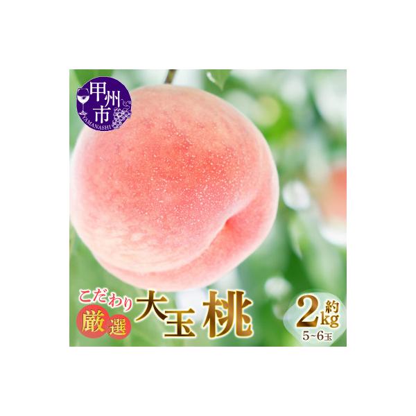 ■お礼品詳細　・配送種別：冷蔵便■お申し込み・配送・その他　・発送時期：2026/07/01〜2026/08/05（お届け時間帯指定可）　・申込受付期間：2025-08-05〜　・配達外のエリア：離島、沖縄県　・寄付証明書の送付時期目安：申...