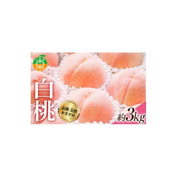 ■お礼品詳細　・配送種別：通常■お申し込み・配送・その他　・発送時期：2026-07-27〜2026-09-10（お届け時間帯指定可）　・申込受付期間：〜2026-07-10　・配達外のエリア：離島、沖縄県　・寄付証明書の送付時期目安：申込...