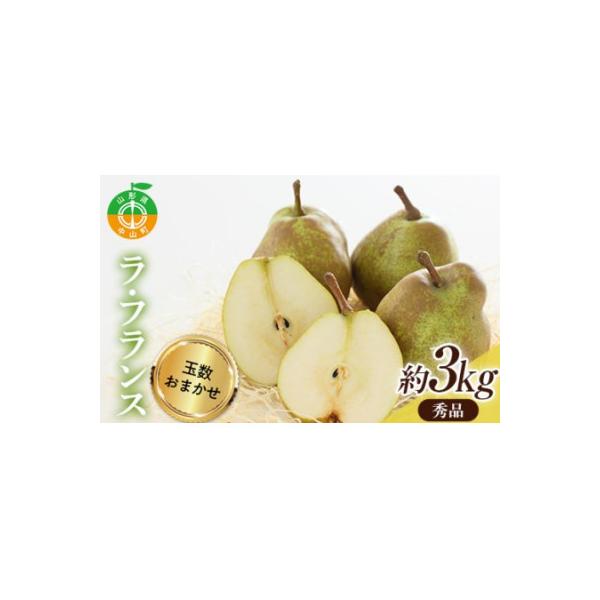 ■お礼品詳細　・配送種別：通常■お申し込み・配送・その他　・発送時期：2026-10-26〜2026-11-27（お届け時間帯指定可）　・申込受付期間：〜2026-10-15　・配達外のエリア：離島　・寄付証明書の送付時期目安：申込完了日か...