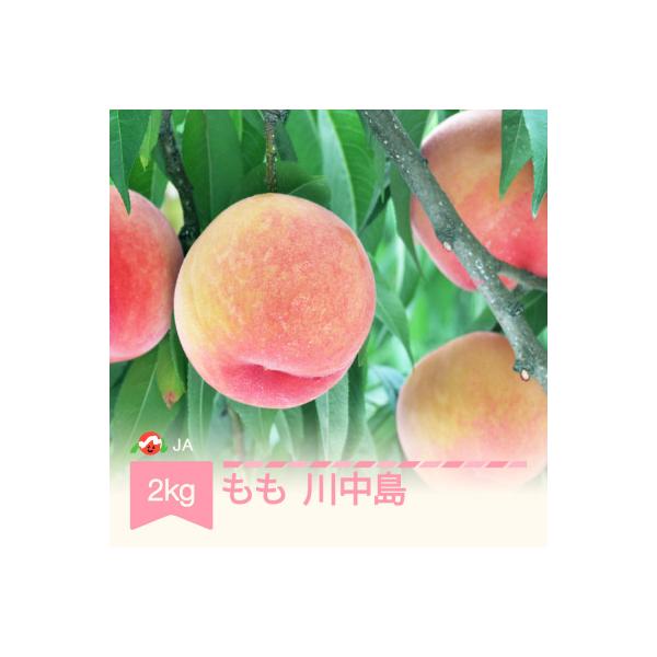 ■お礼品詳細　・配送種別：通常■お申し込み・配送・その他　・発送時期：2026-08-11〜2026-09-10（お届け時間帯指定可）　・申込受付期間：〜2026-08-10　・配達外のエリア：離島　・寄付証明書の送付時期目安：申込完了日か...