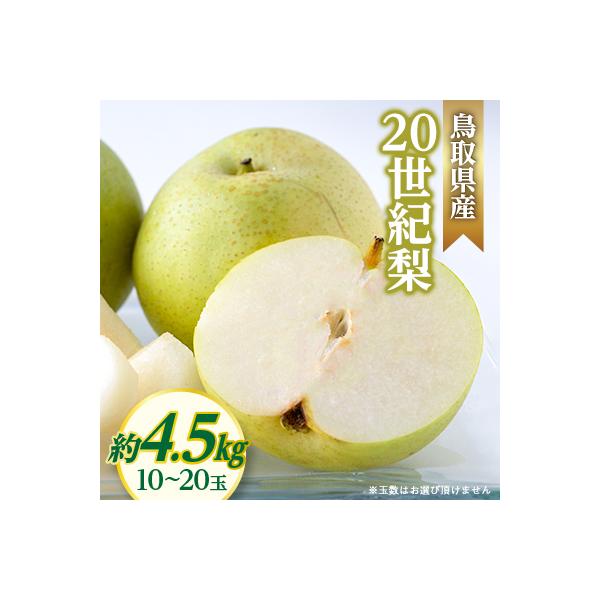 ■お礼品詳細　・配送種別：冷蔵便■お申し込み・配送・その他　・発送時期：2026-09-03〜2026-09-12　・申込受付期間：2025-10-01〜2026-08-31　・配達外のエリア：離島、北海道、沖縄県　・寄付証明書の送付時期目...