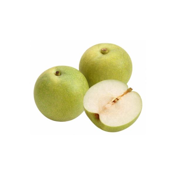 ■お礼品詳細　・配送種別：冷蔵便■お申し込み・配送・その他　・発送時期：2026-09-03〜2026-09-12　・申込受付期間：2025-10-01〜2026-08-31　・配達外のエリア：離島、北海道、沖縄県　・寄付証明書の送付時期目...