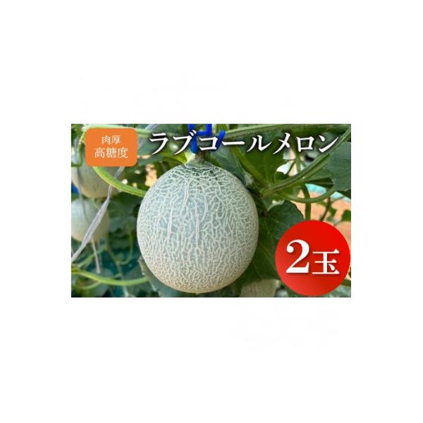 ■お礼品詳細　・配送種別：通常■お申し込み・配送・その他　・発送時期：2026-07-01〜2026-07-31（お届け時間帯指定可）　・申込受付期間：〜2026-07-10　・配達外のエリア：離島、沖縄県　・寄付証明書の送付時期目安：申込...