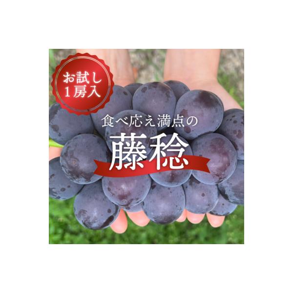 ■お礼品詳細　・配送種別：冷蔵便■お申し込み・配送・その他　・発送時期：2026-08-25〜2026-09-28（お届け時間帯指定可）　・申込受付期間：〜2026-09-23　・配達外のエリア：離島　・寄付証明書の送付時期目安：申込完了日...