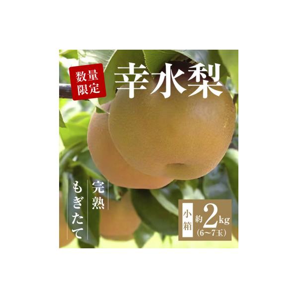 ■お礼品詳細　・配送種別：通常■お申し込み・配送・その他　・発送時期：2026-08-16〜2026-08-31（お届け時間帯指定可）　・申込受付期間：〜2026-08-10　・配達外のエリア：離島、北海道、沖縄県　・寄付証明書の送付時期目...