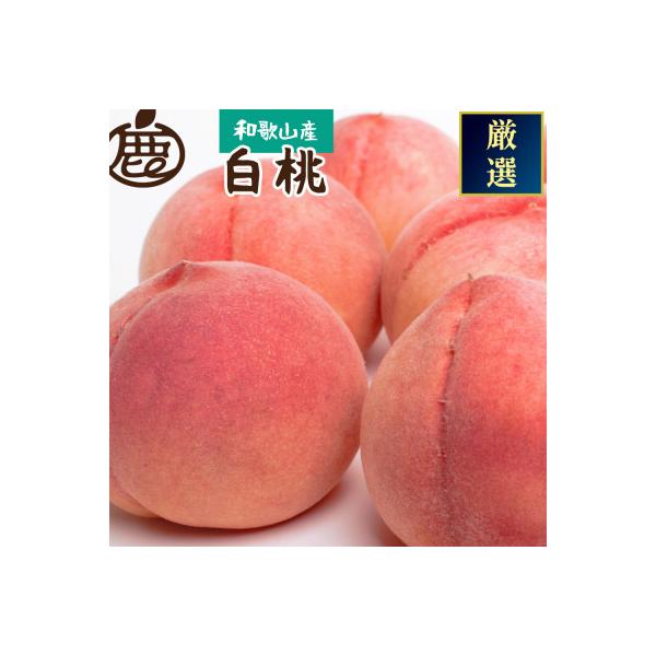 ■お礼品詳細　・配送種別：冷蔵便■お申し込み・配送・その他　・発送時期：2026-07-01〜2026-07-30（お届け時間帯指定可）　・申込受付期間：〜2026-06-25　・配達外のエリア：離島、北海道、沖縄県、東北　・寄付証明書の送...