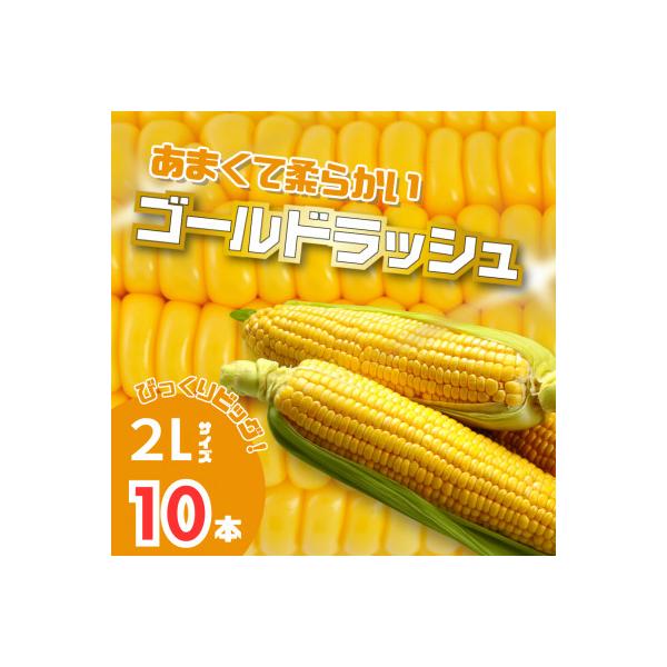■お礼品詳細　・配送種別：冷蔵便■お申し込み・配送・その他　・発送時期：2026-07-30〜2026-08-10（お届け時間帯指定可）　・申込受付期間：〜2026-07-30　・配達外のエリア：離島　・寄付証明書の送付時期目安：申込完了日...