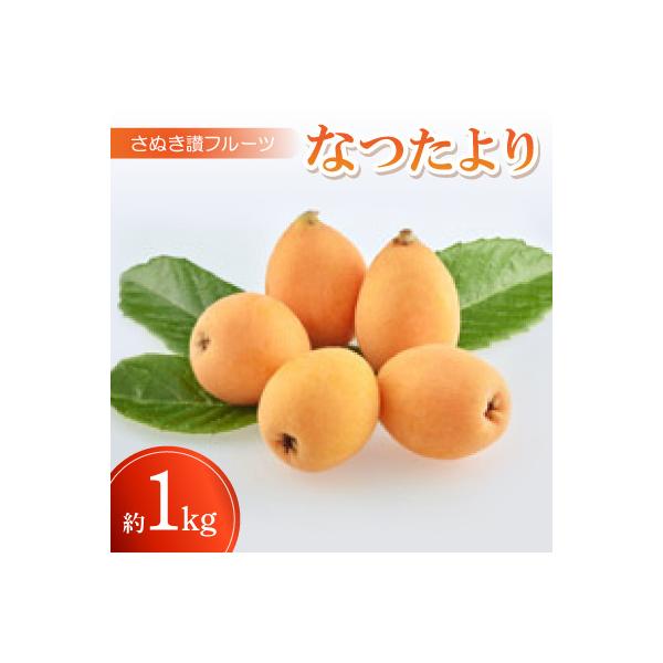 ■お礼品詳細　・配送種別：冷蔵便■お申し込み・配送・その他　・発送時期：2026-05-18〜2026-06-30　・申込受付期間：〜2026-06-07　・配達外のエリア：離島　・寄付証明書の送付時期目安：申込完了日から２週間程度    ...