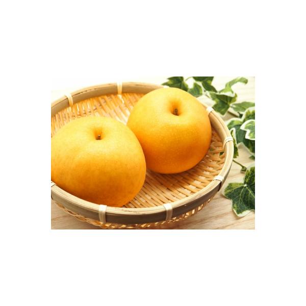 ■お礼品詳細　・配送種別：通常■お申し込み・配送・その他　・発送時期：2026-09-15〜2026-10-10（お届け時間帯指定可）　・申込受付期間：〜2026-09-24　・配達外のエリア：　・寄付証明書の送付時期目安：寄附後、２週間以...