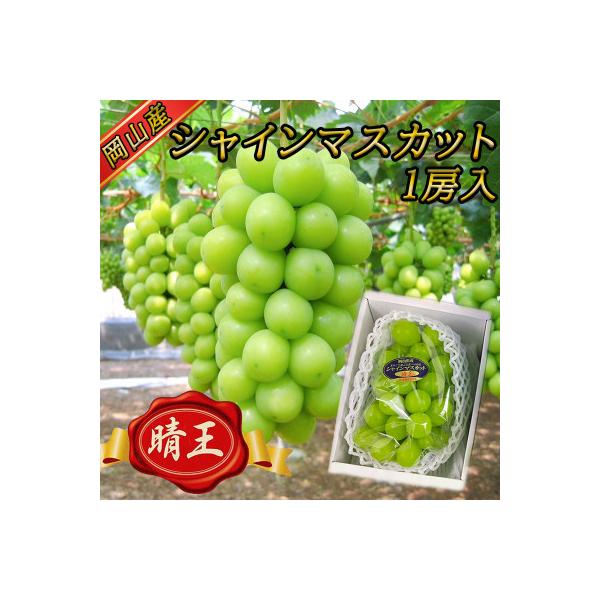 ■お礼品詳細　・配送種別：冷蔵便■お申し込み・配送・その他　・発送時期：2026-08-20〜2026-10-10（お届け時間帯指定可）　・申込受付期間：〜2026-09-20　・配達外のエリア：離島　・寄付証明書の送付時期目安：申込完了日...