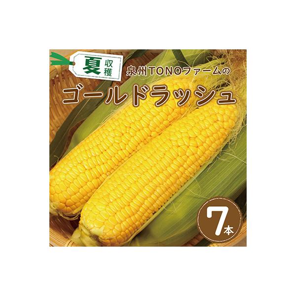 ■お礼品詳細　・配送種別：冷蔵便■お申し込み・配送・その他　・発送時期：2026-06-10〜2026-07-31（お届け時間帯指定可）　・申込受付期間：〜2026-06-30　・配達外のエリア：離島、北海道、沖縄県、東北、九州　・寄付証明...