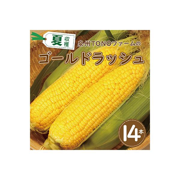 ■お礼品詳細　・配送種別：冷蔵便■お申し込み・配送・その他　・発送時期：2026-06-10〜2026-07-31（お届け時間帯指定可）　・申込受付期間：〜2026-06-30　・配達外のエリア：離島、北海道、沖縄県、東北、九州　・寄付証明...