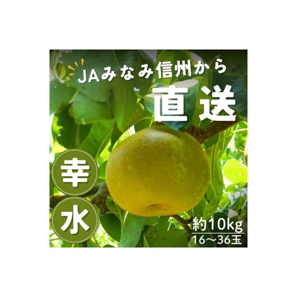 ■お礼品詳細　・配送種別：通常■お申し込み・配送・その他　・発送時期：2026-08-20〜2026-08-31（お届け時間帯指定可）　・申込受付期間：2025-10-27〜2026-08-17　・配達外のエリア：　・寄付証明書の送付時期目...