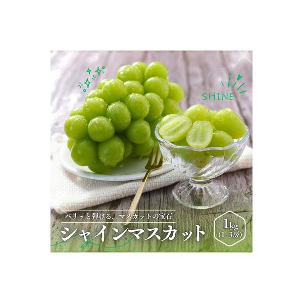 ■お礼品詳細　・配送種別：冷蔵便■お申し込み・配送・その他　・発送時期：2026-09-25〜2026-11-06（お届け時間帯指定可）　・申込受付期間：2025-12-01〜2026-03-31　・配達外のエリア：離島、沖縄県　・寄付証明...