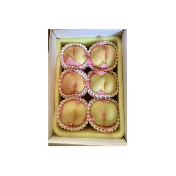 ■お礼品詳細　・配送種別：冷蔵便■お申し込み・配送・その他　・発送時期：2026-06-16〜2026-08-15（お届け時間帯指定可）　・申込受付期間：〜2026-06-10　・配達外のエリア：離島　・寄付証明書の送付時期目安：申込完了日...