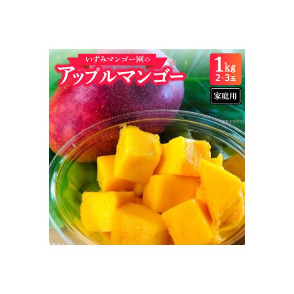 ■お礼品詳細　・配送種別：通常■お申し込み・配送・その他　・発送時期：2026-06-25〜2026-07-31（お届け時間帯指定可）　・申込受付期間：〜2026-06-30　・配達外のエリア：離島　・寄付証明書の送付時期目安：申込完了日か...