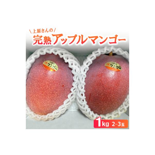 ■お礼品詳細　・配送種別：通常■お申し込み・配送・その他　・発送時期：2026-06-20〜2026-07-31（お届け時間帯指定可）　・申込受付期間：〜2026-07-20　・配達外のエリア：離島　・寄付証明書の送付時期目安：申込完了日か...